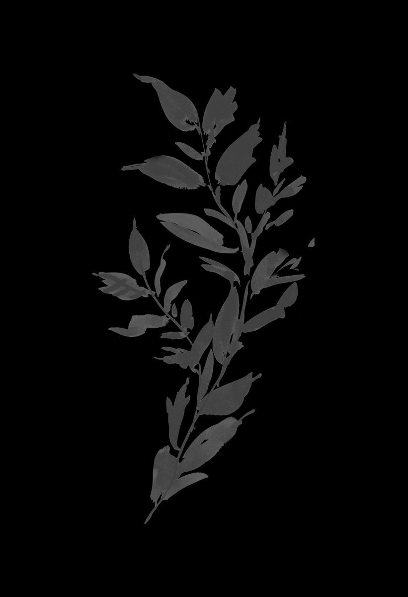 Sage II – North and Finch