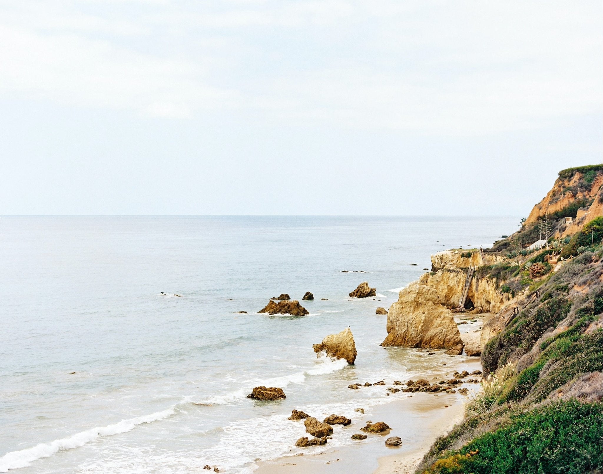 Heather Howard – North and Finch