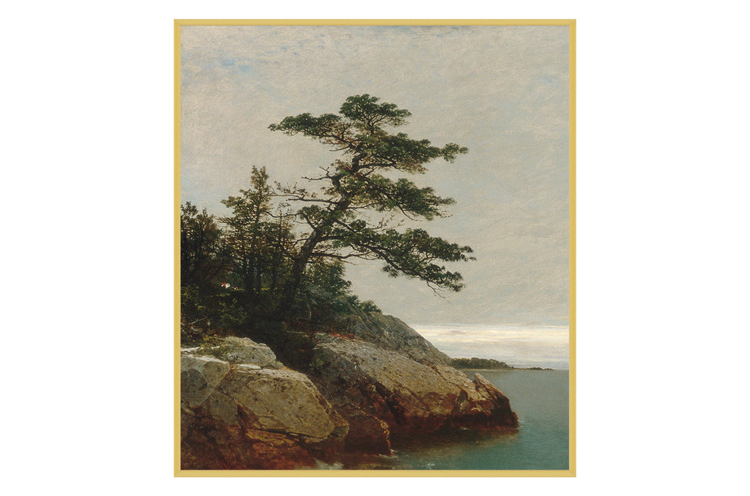 Landscapes – North and Finch