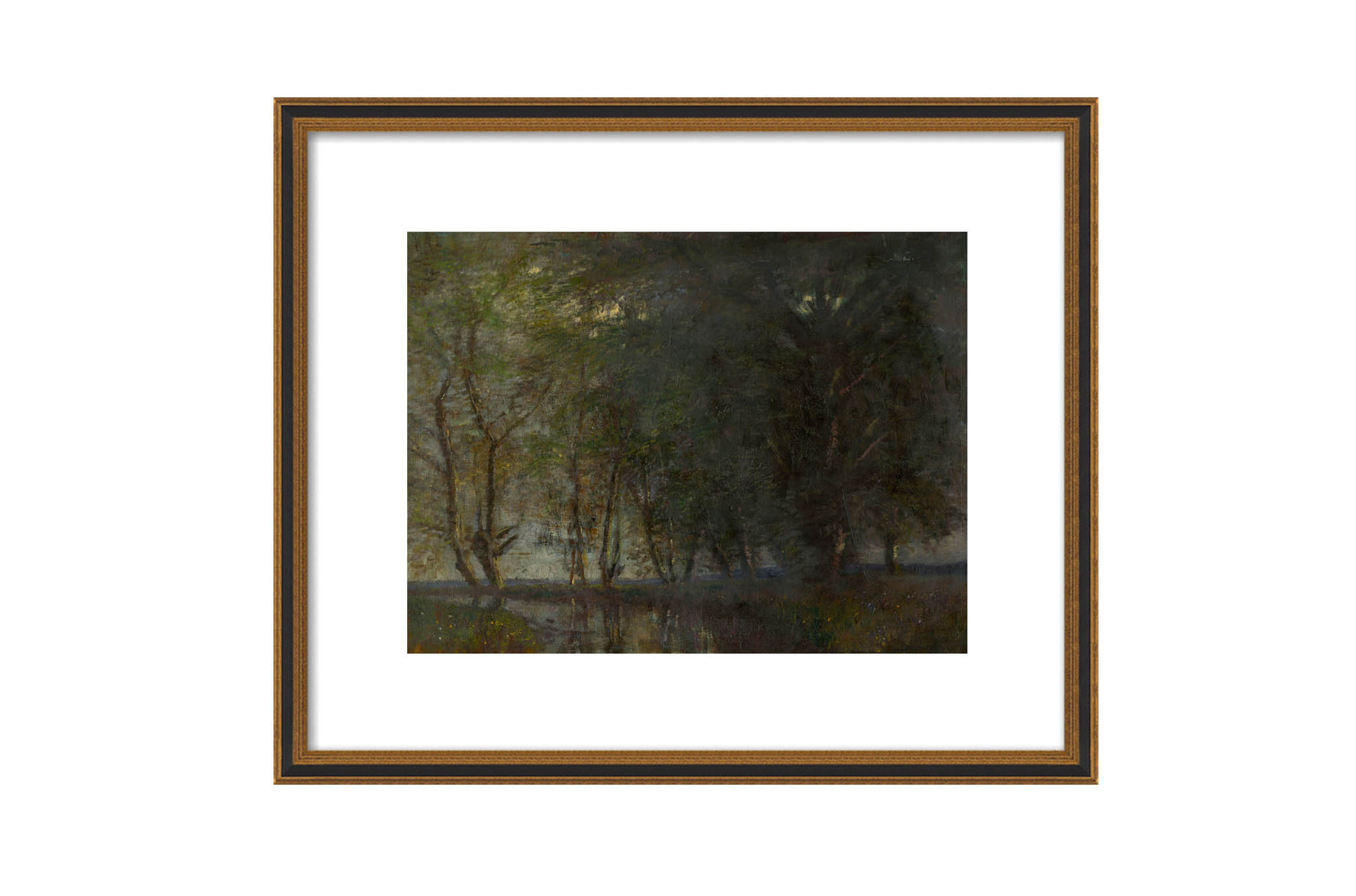 Trees – North and Finch